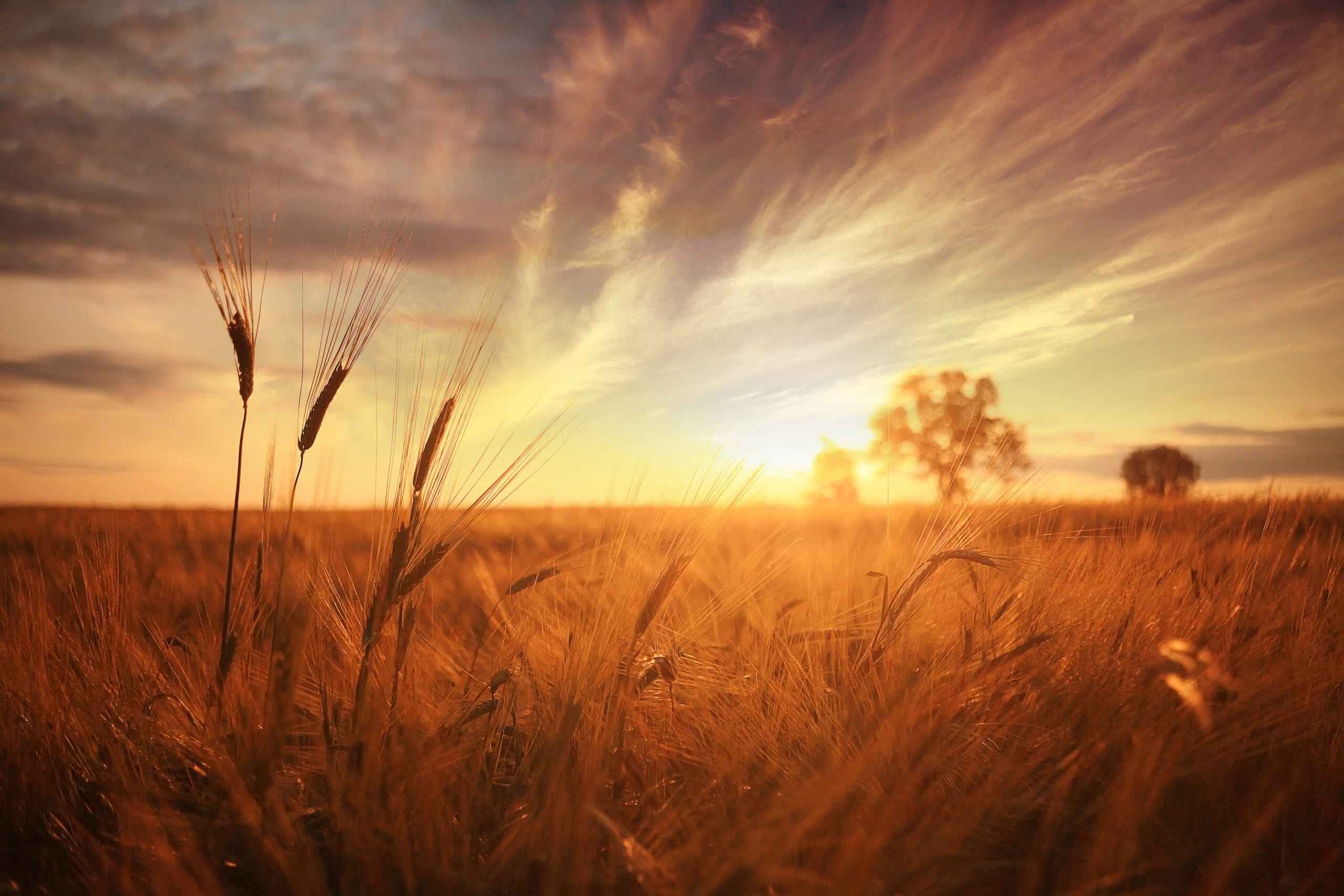 A monthly celebration of good climate news: Tammuz and Sivan - Dayenu